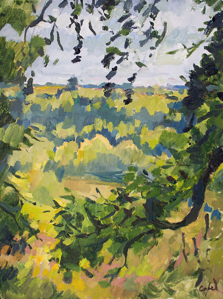 Oil Paintings by Adam Cope. Dordogne et Provence.