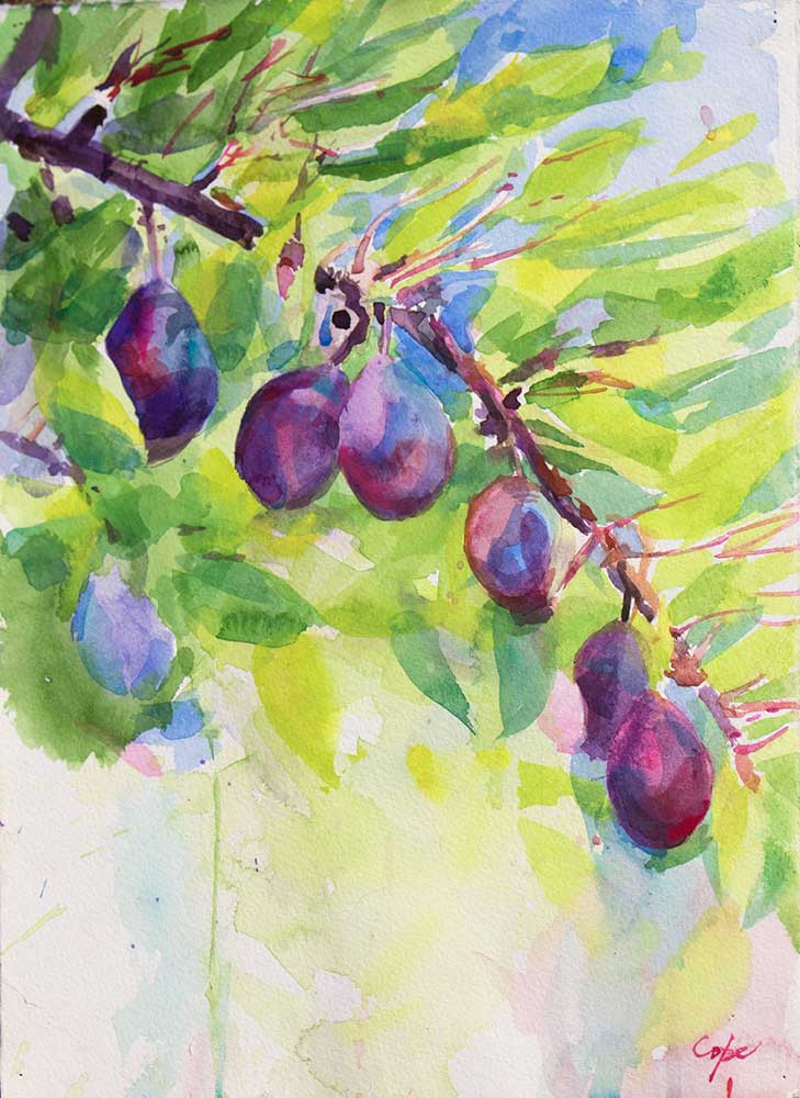 Watercolours by Adam Cope. Dordogne, Provence, Aquarelles